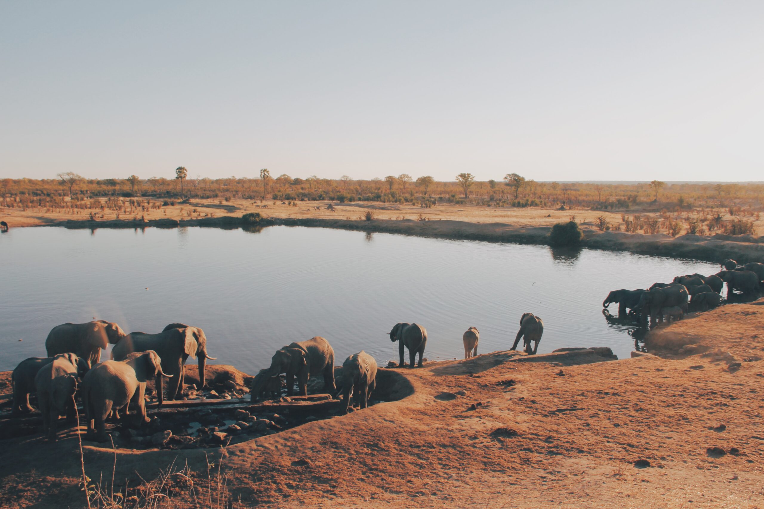 Kenya Safari Packages: Luxury and Affordability Combined | Nova Afrika ...