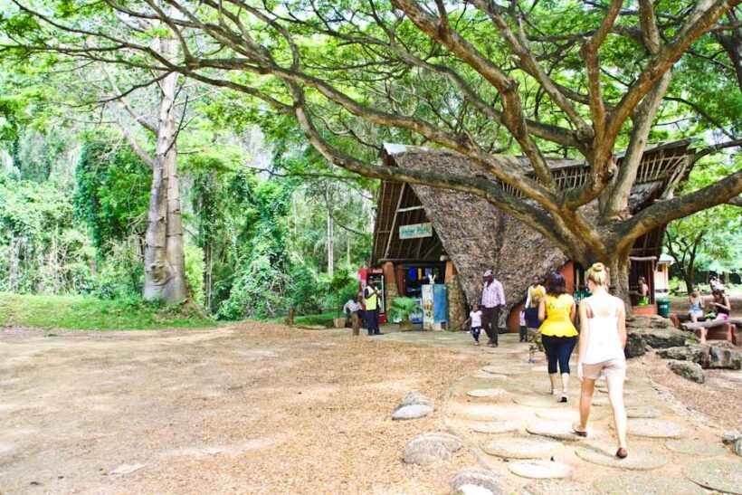 Haller Park Day Tour – Mombasa | Mombasa Excursions | Nova Afrika Kenya ...